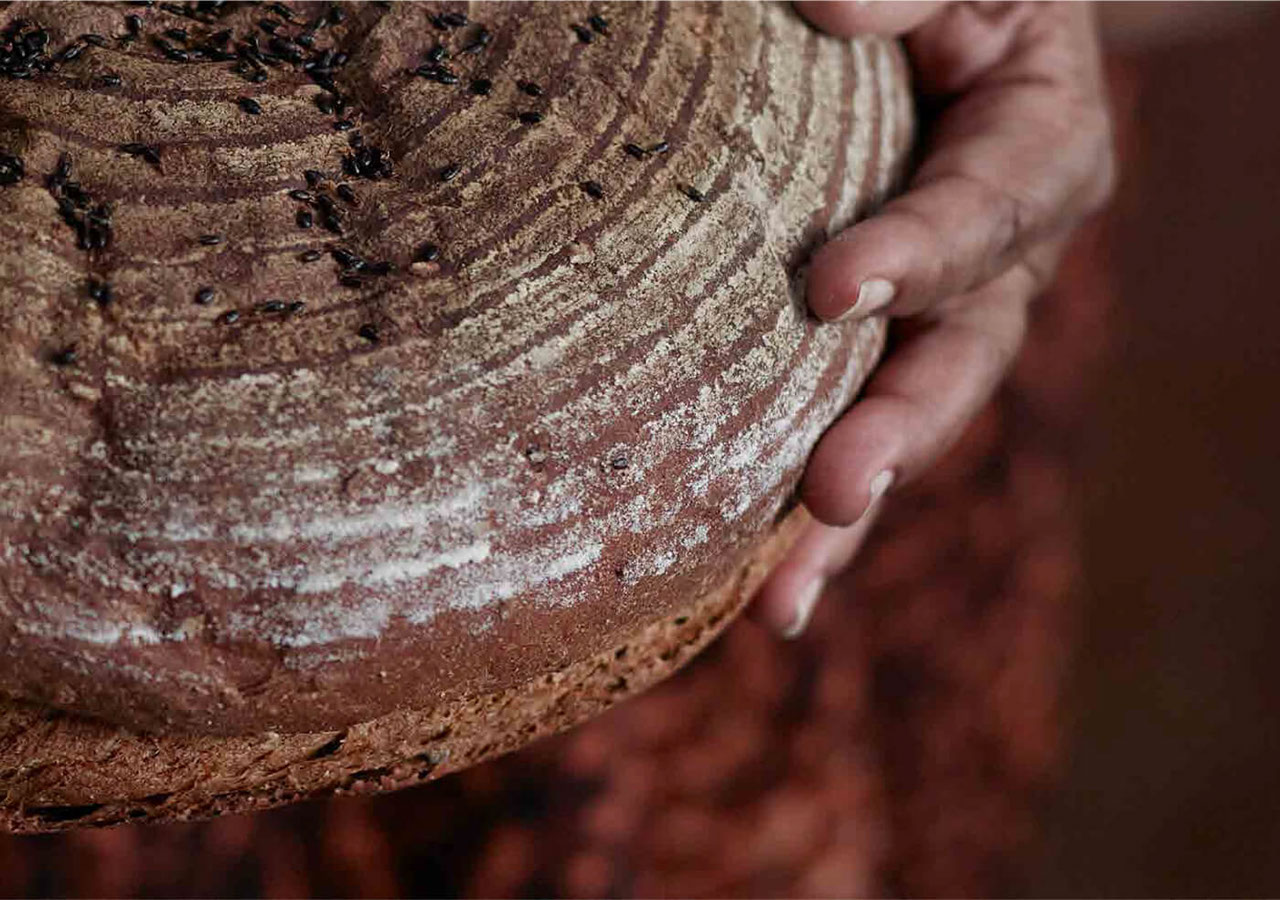 an Aboriginal Culinary Journey