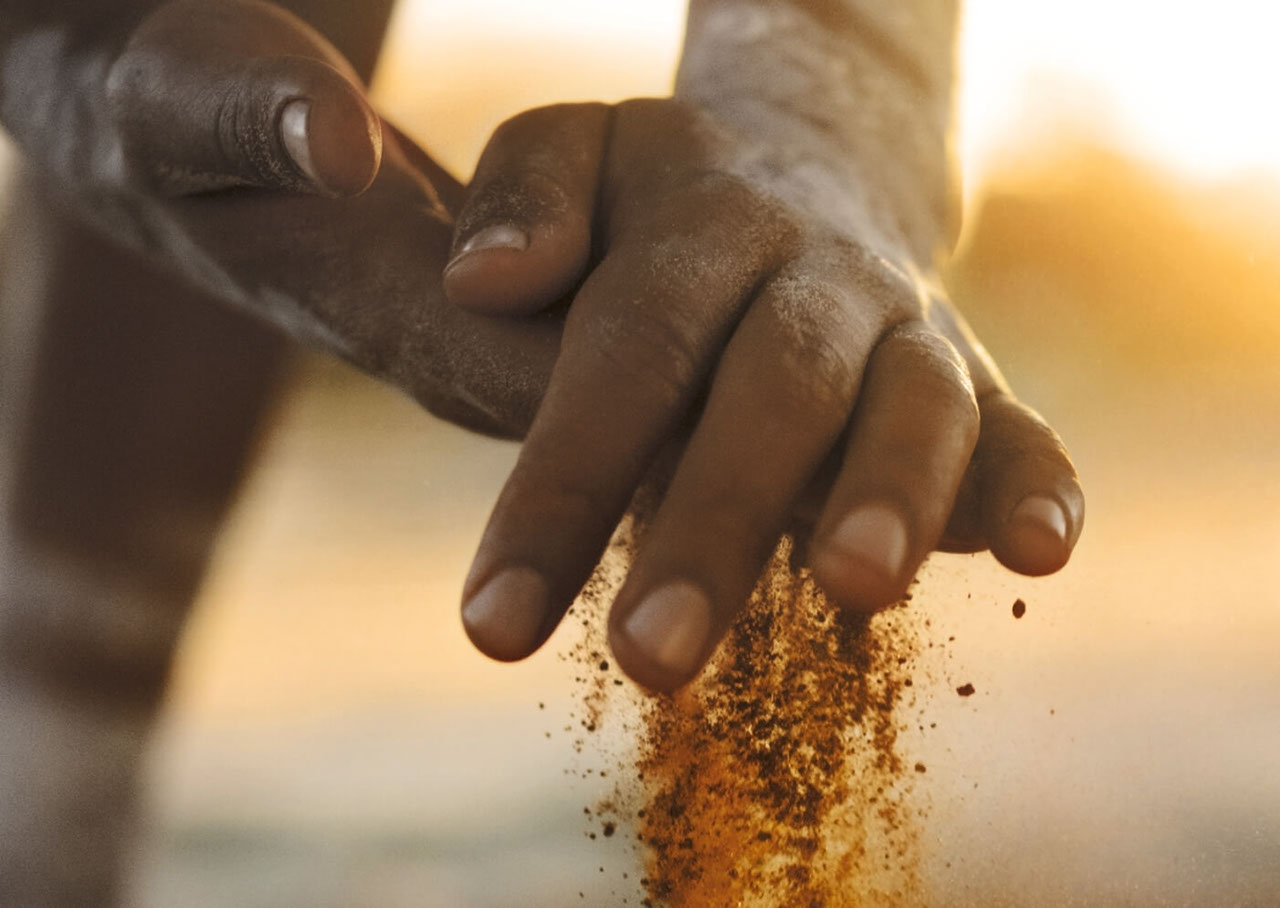 Tingari - the Bambino® Plus