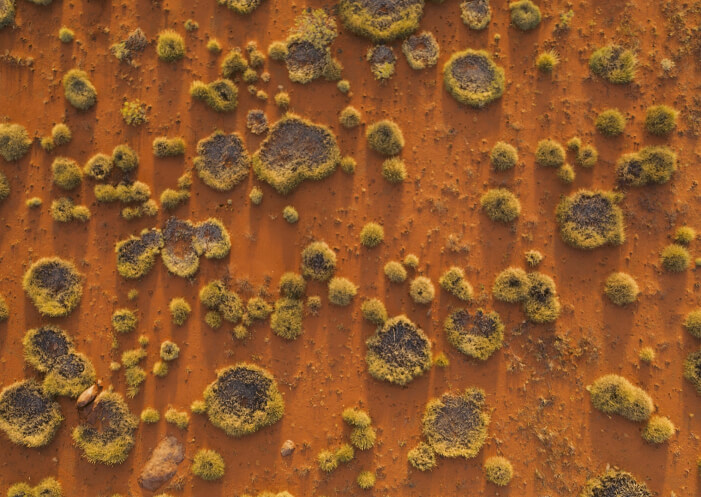 Marrapinti - the Barista Pro™