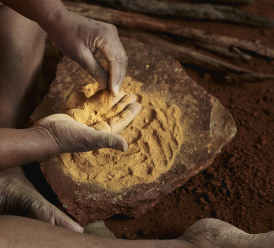 Marrapinti - the Barista Pro™