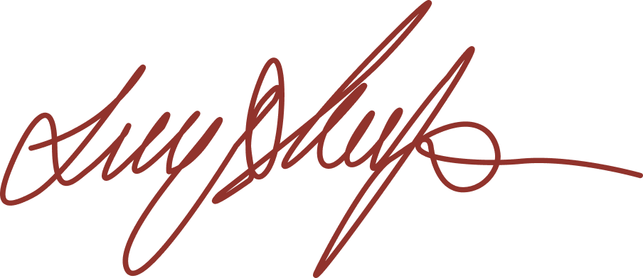 Dhuuyaay - the Smart Oven™ Air Fryer