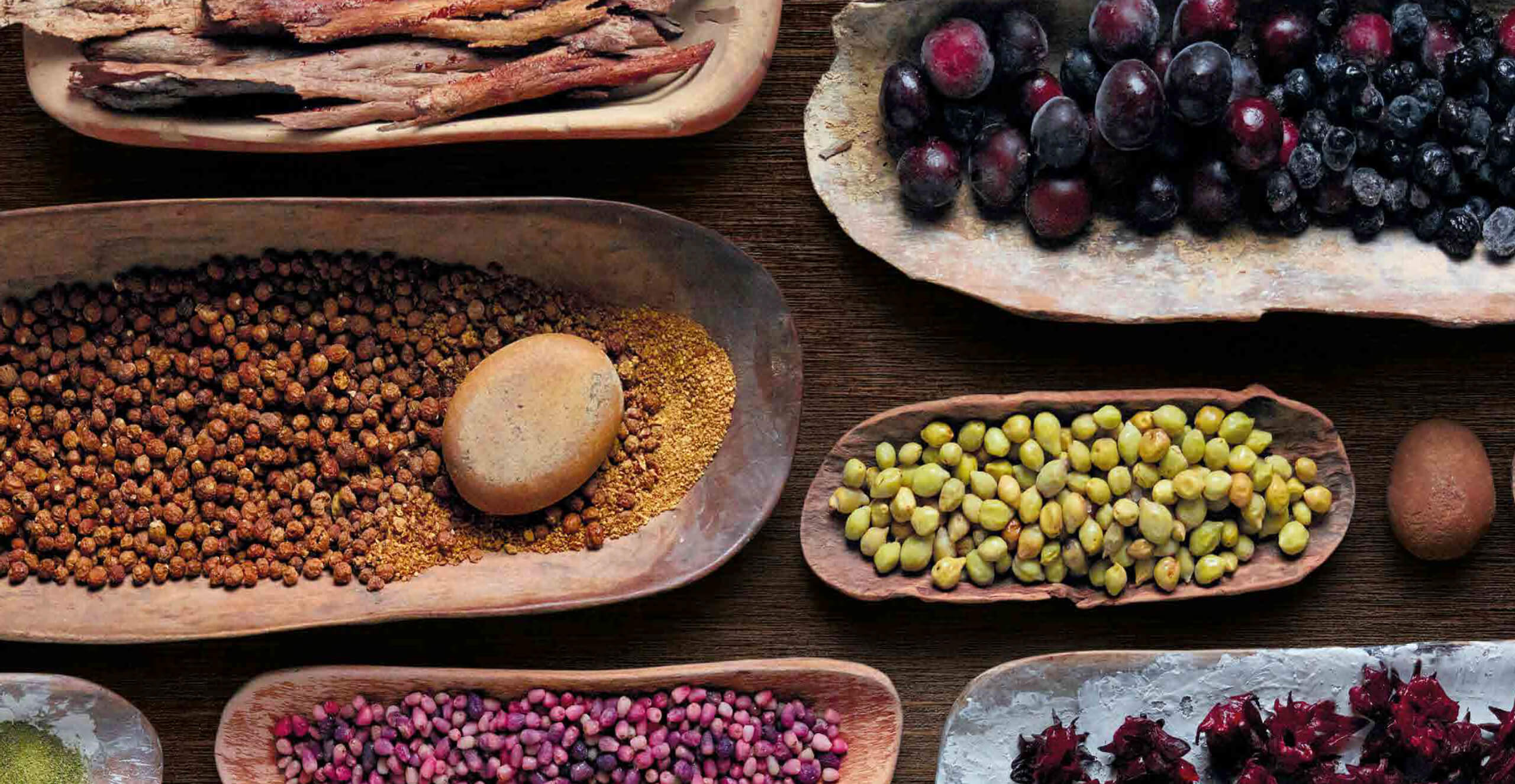 an Aboriginal Culinary Journey