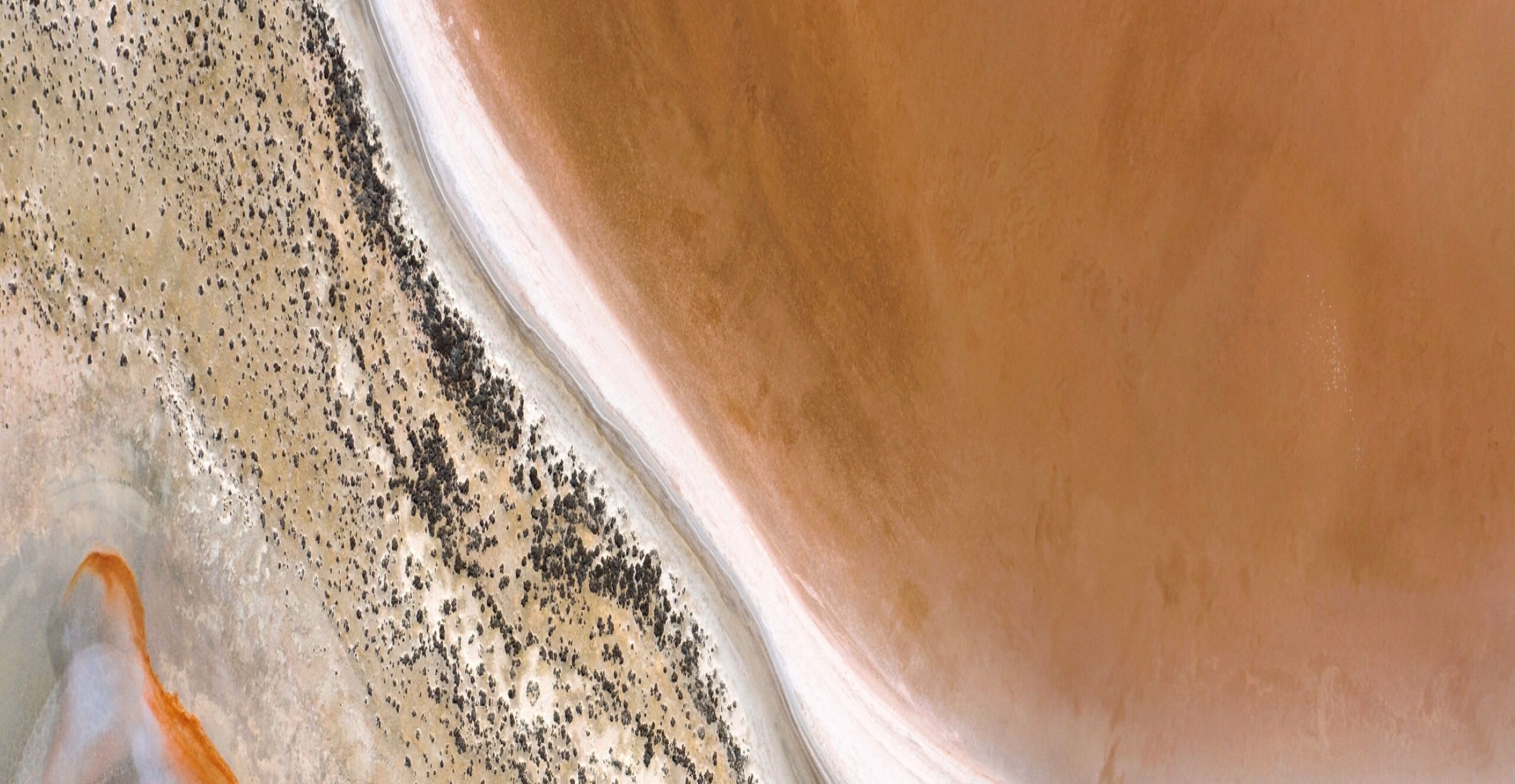 Tingari - the Bambino® Plus